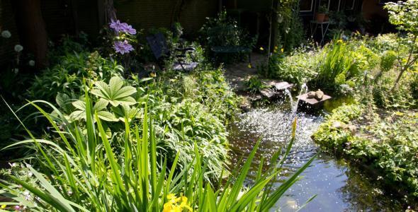 Groen en Water | Ondernemend Eindhoven